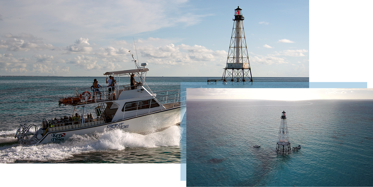 Save Alligator Lighthouse